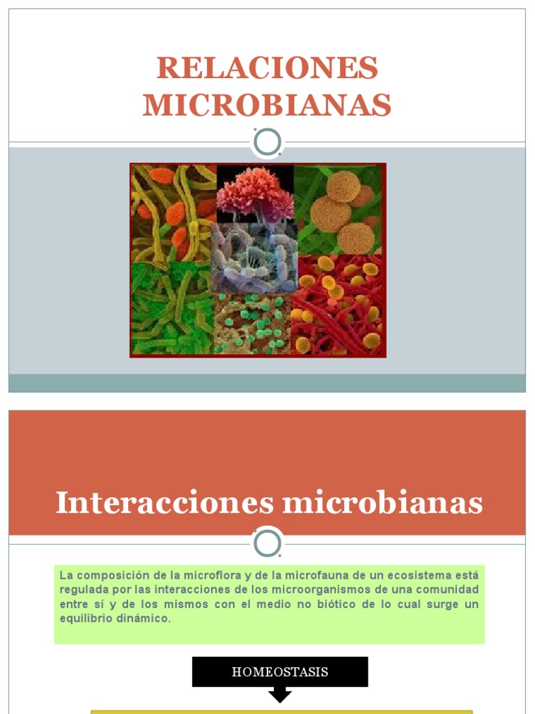 MICROBIOLOGIA AMBIENTAL. Relaciones Microbianas | Infección | Salud pública