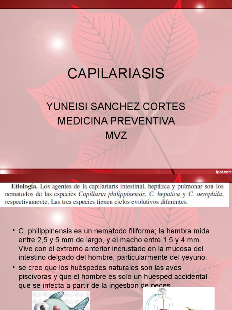 CAPILARIASIS | PDF | Huevo | Aves