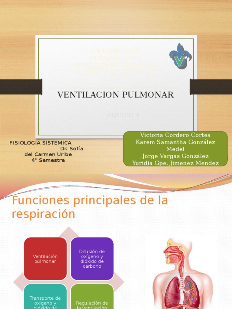 VENTILACION PULMONAR | Pulmón | Sistema respiratorio