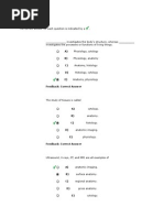 Anatomy and Physiology Kahoot Quiz | PDF | Anatomical Terms Of Location ...