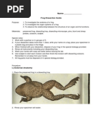 Toad Dissection Guide | PDF