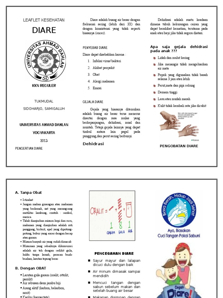 Leaflet Diare | PDF