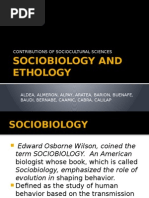 Neurotransmitters and Its Food Sources | PDF | Pickling | Norepinephrine