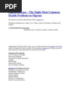 Pigeon Color Genetics and Breeding Chart | PDF | Dominance (Genetics ...