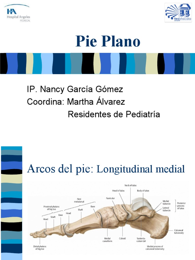 Pie Plano Anatomia | Pie | Anatomía humana