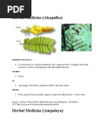 Halamang Gamot Table | PDF | Garlic | Plants