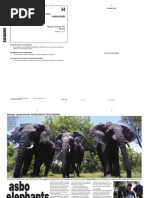 FS Episode 8 | PDF | Curriculum | Lesson Plan