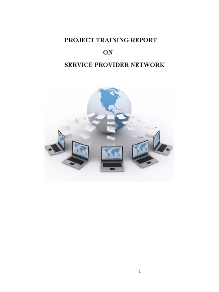 Service Provider Network | PDF | Network Switch | Computer Network