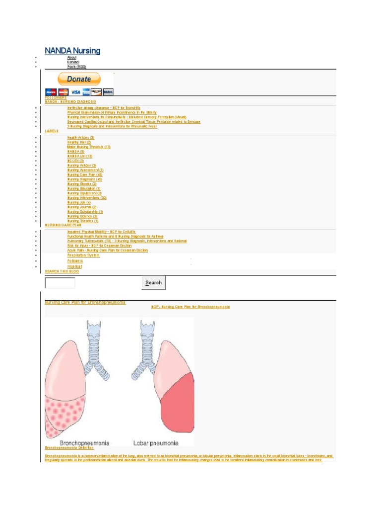 NANDA Nursing | PDF | Pneumonia | Respiratory Tract