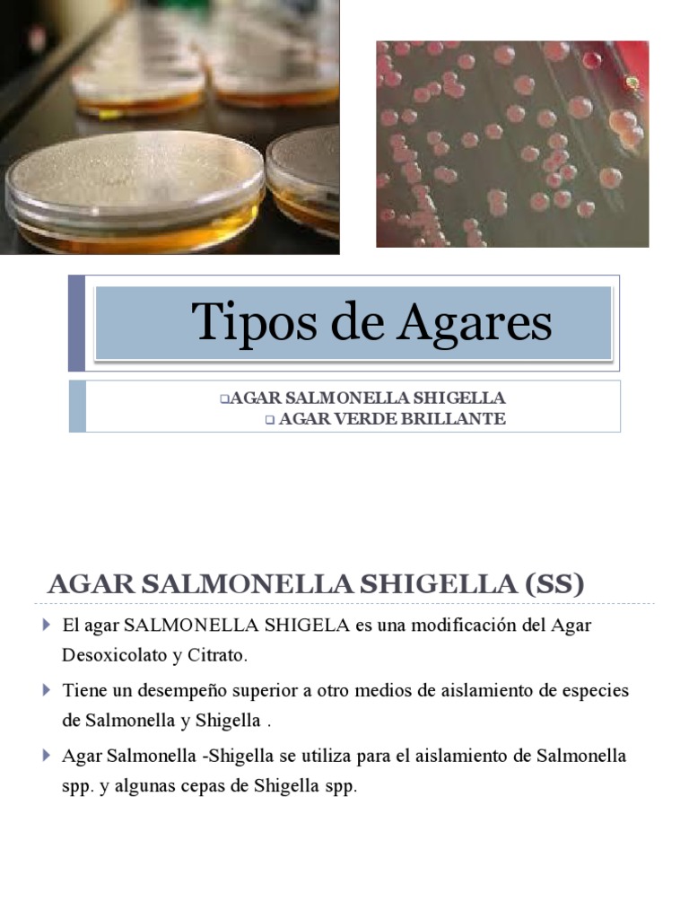 Tipos de Agares | PDF