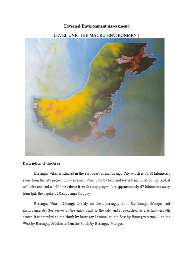 External Environment Assessment of Barangay Vitali | PDF | Flood ...