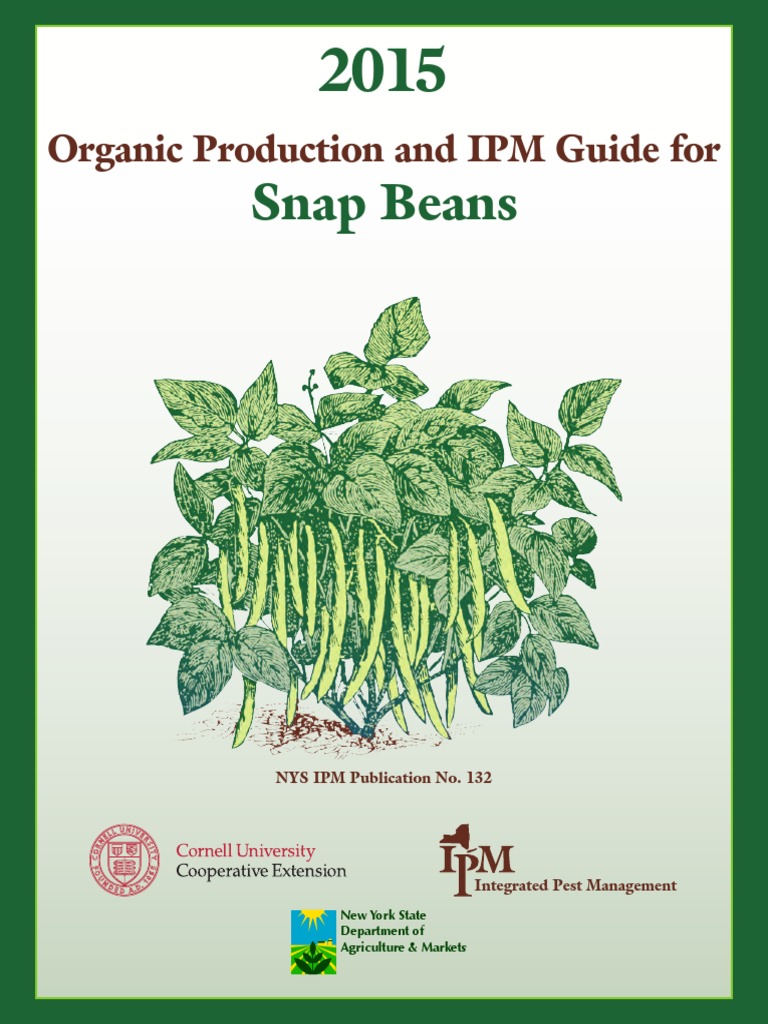 Bean | PDF | Organic Farming | Crop Rotation