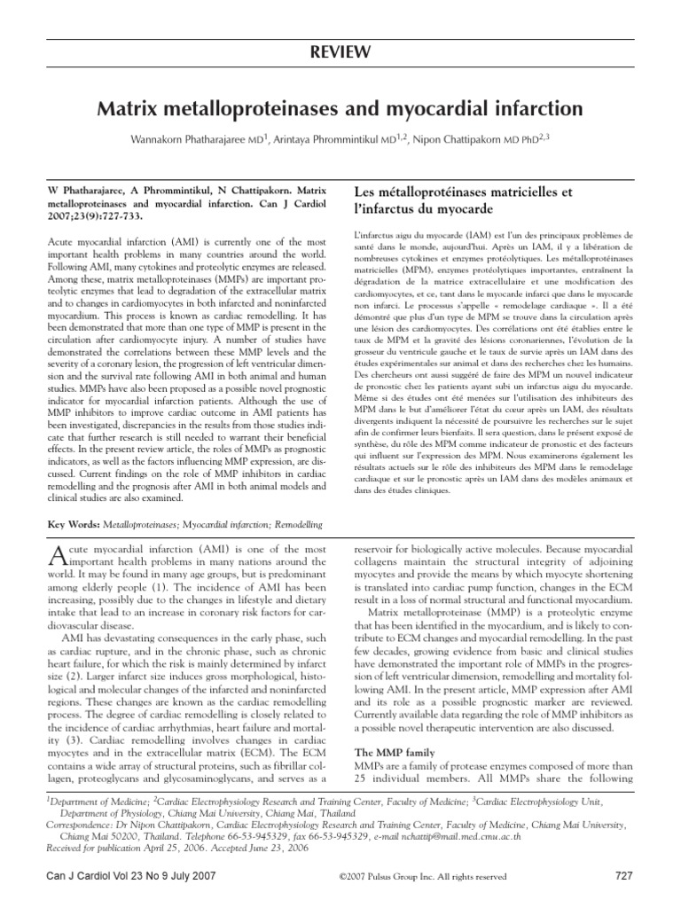 Matrix Metalloproteinases | PDF | Active Site | Extracellular Matrix
