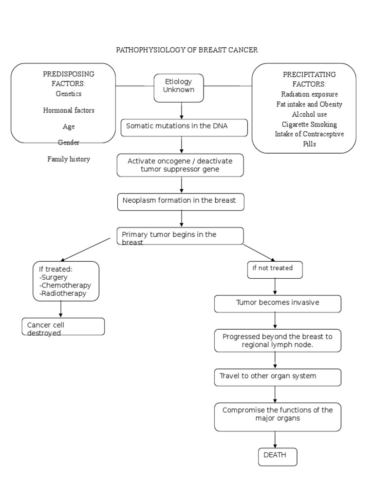 Breast Cancer Pathophysiology Overview | PDF | Neoplasms | Cancer