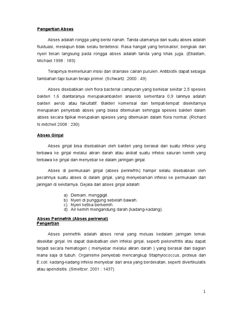 Pengertian dan Penanganan Abses Ginjal | PDF
