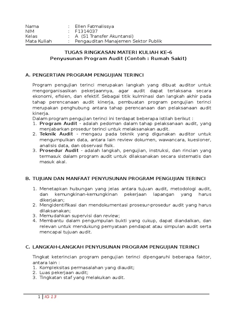 PMSP RMK 7 - Penyusunan Program Audit - IG 13 | PDF