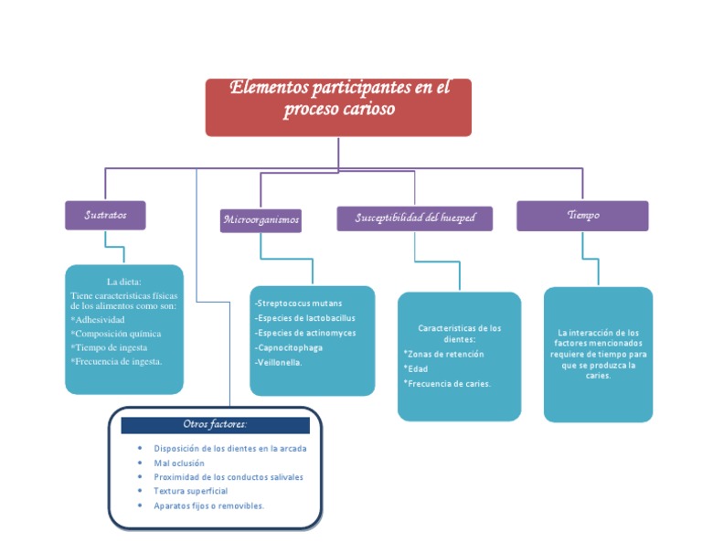 elementos participantes en el proceso carioso
