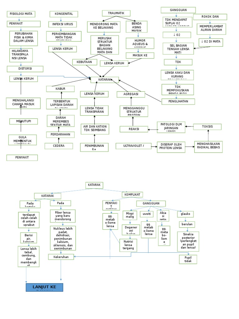 4. PATHWAY KATARAK.doc