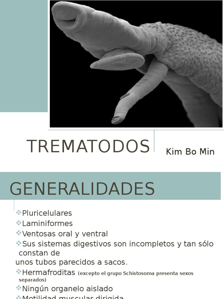 TREMATODOS | PDF | Gastroenterología | Sistema digestivo