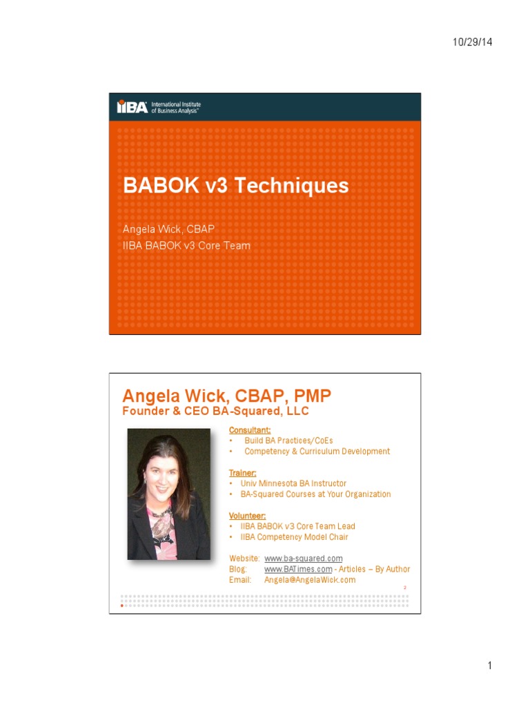 BABOK Techniques | Use Case | Business Model