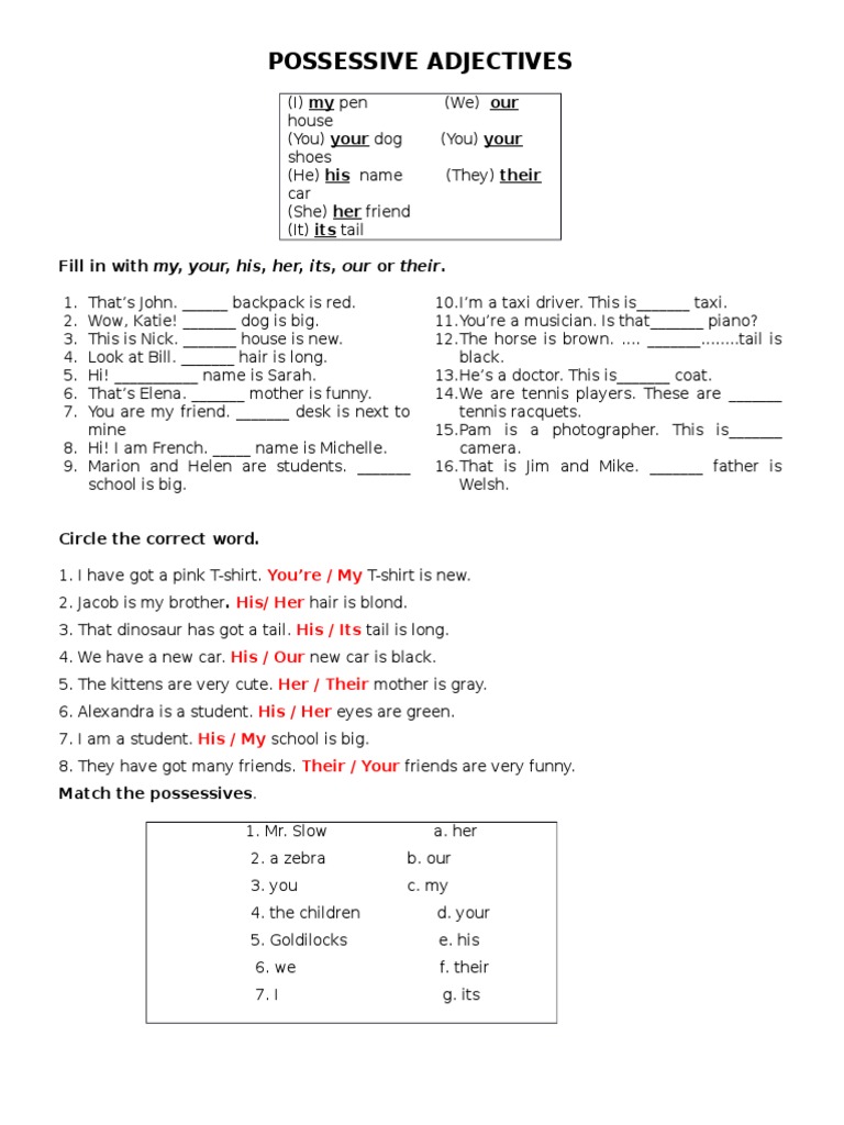 Possessive Adjectives: Fill in With My, Your, His, Her, Its, Our or ...