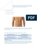 Pembagian Kuadran dan Regio Abdomen | PDF