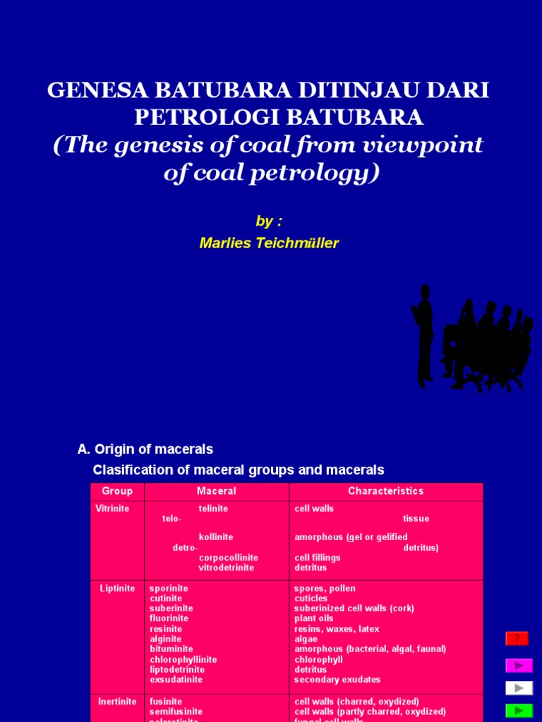 Maseral (Marlies Teichmuller) | PDF | Bituminous Coal | Coal
