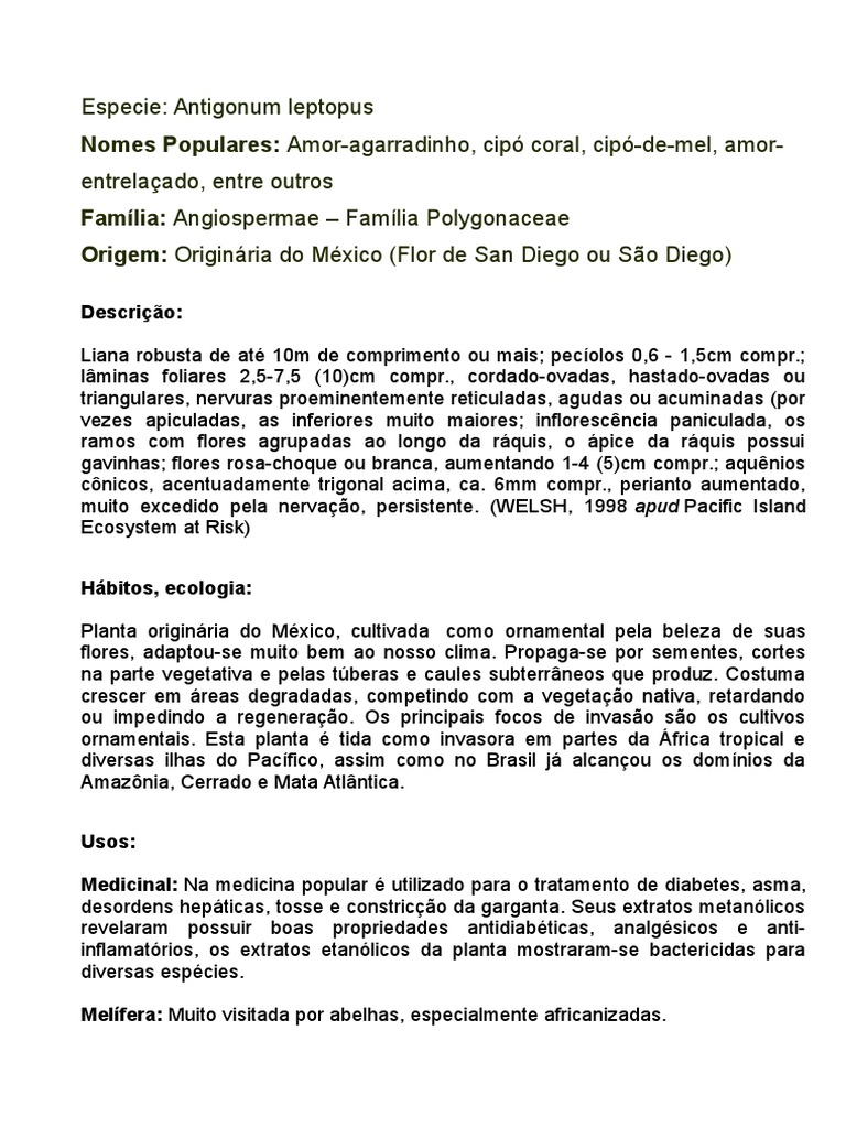 Antigonum leptopus: Características e Usos | PDF | Plantas ...