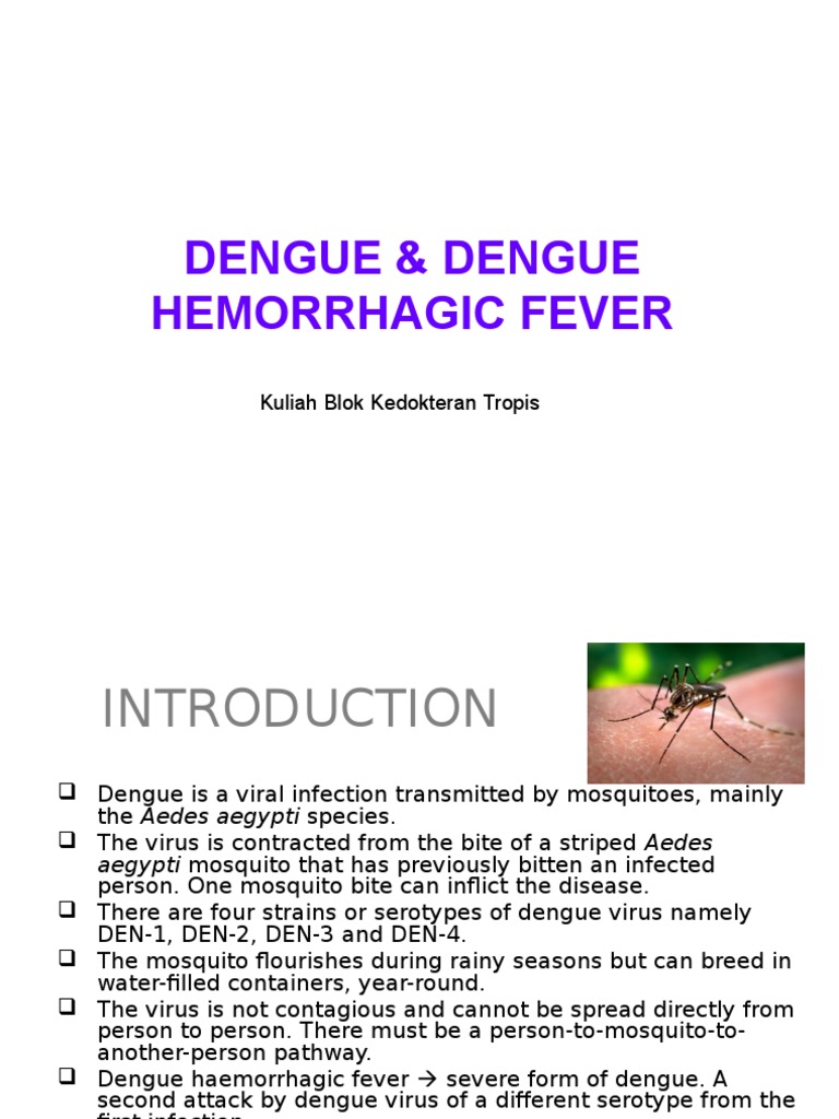 Understanding Dengue Hemorrhagic Fever | PDF | Mosquito | Shock ...