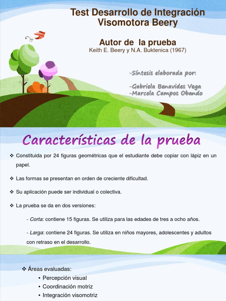 Test de Integración Visomotora Beery | PDF