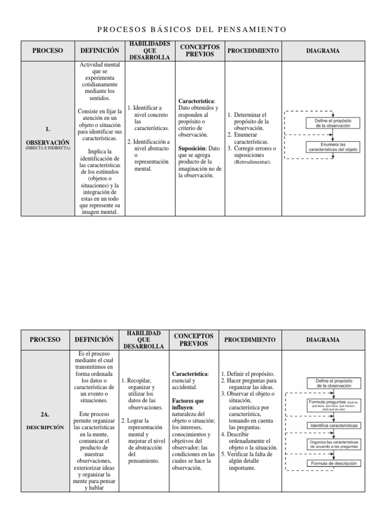 Procesos Basicos Del Pensamiento | PDF