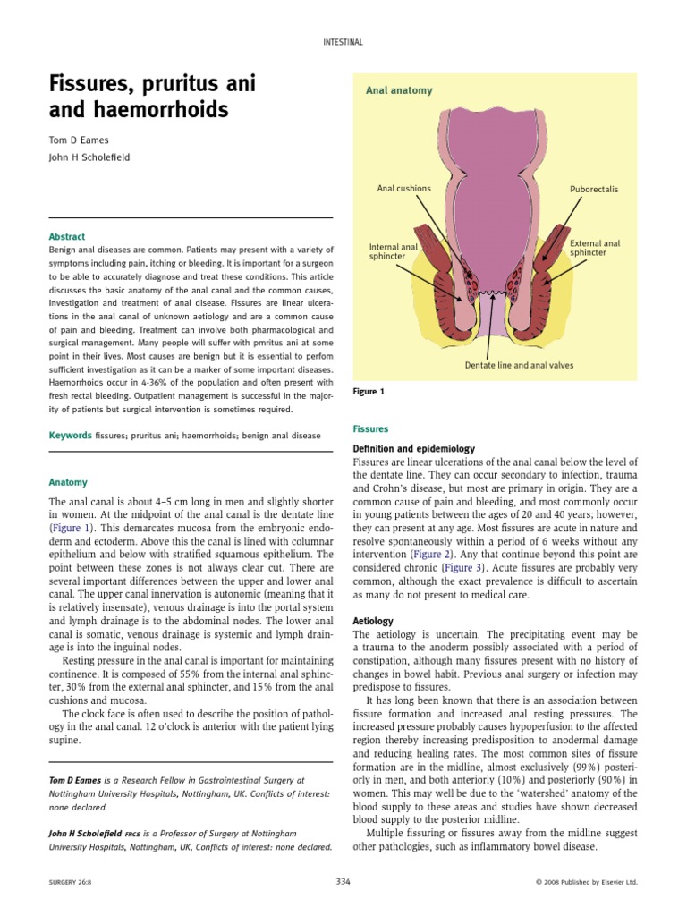 Pruritus Ani, Hemorroidet Etj | PDF | Hemorrhoid | Candidiasis