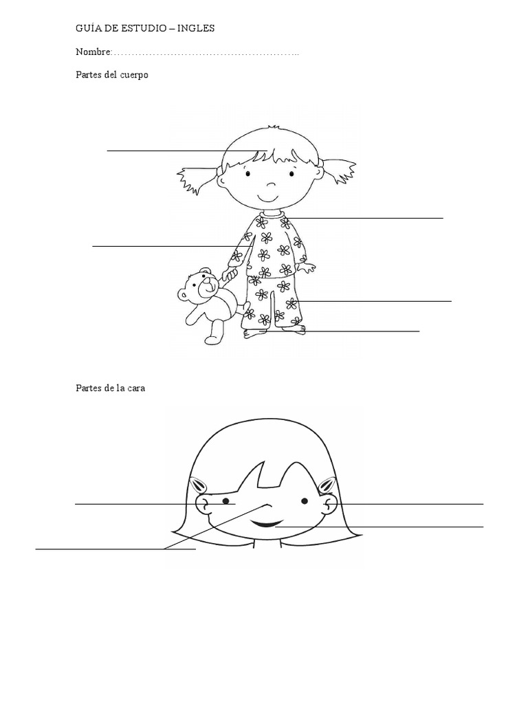Prueba De Inglés Partes Del Cuerpo Pdf Ferrocarril Transporte