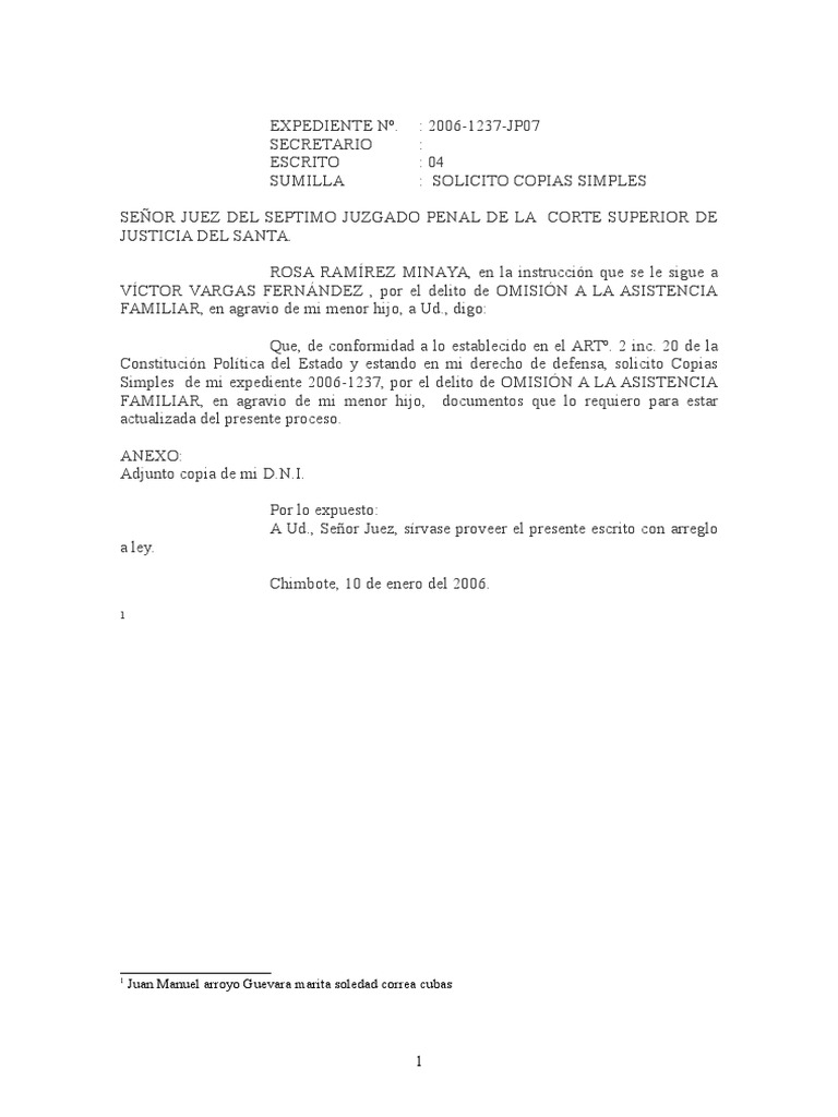 Copias Simples | PDF | Gobierno | Justicia