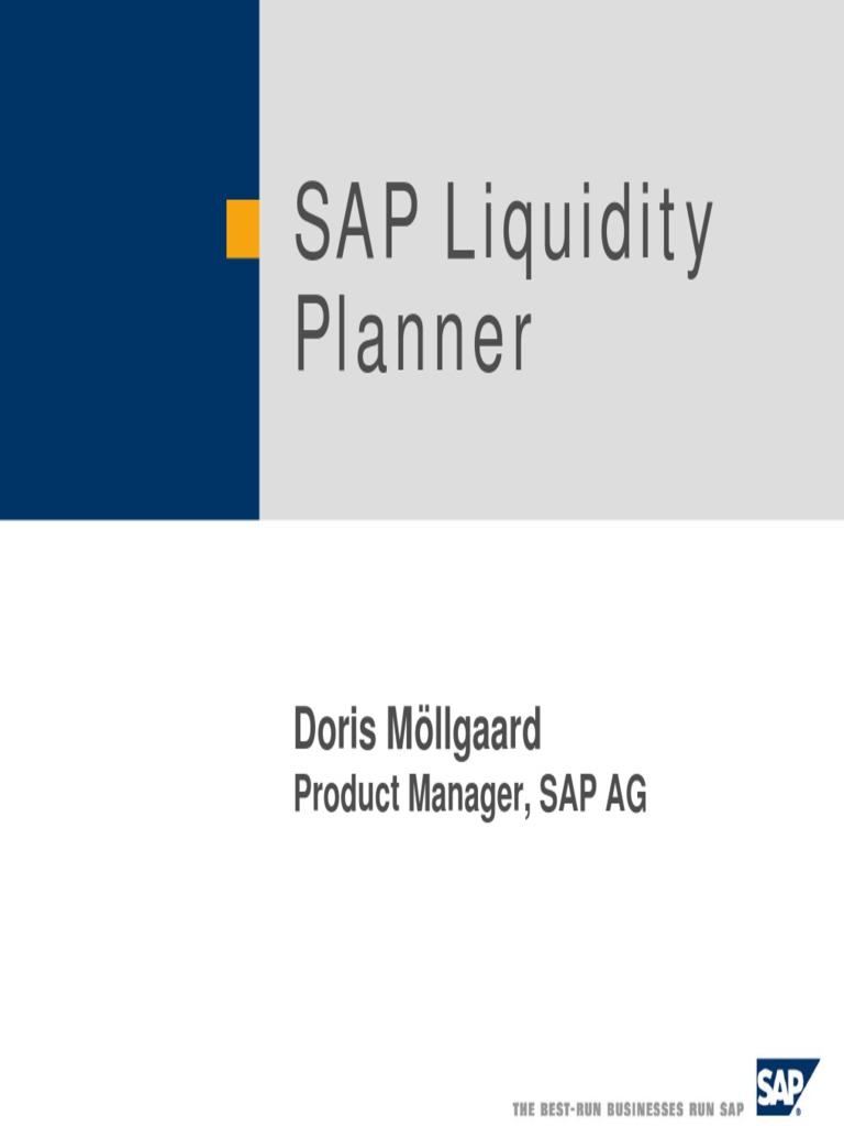 Sap Liquidity Planner | PDF | Debits And Credits | Market Liquidity