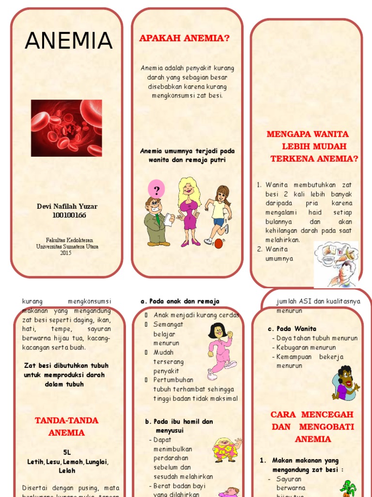 Leaflet Anemia | PDF