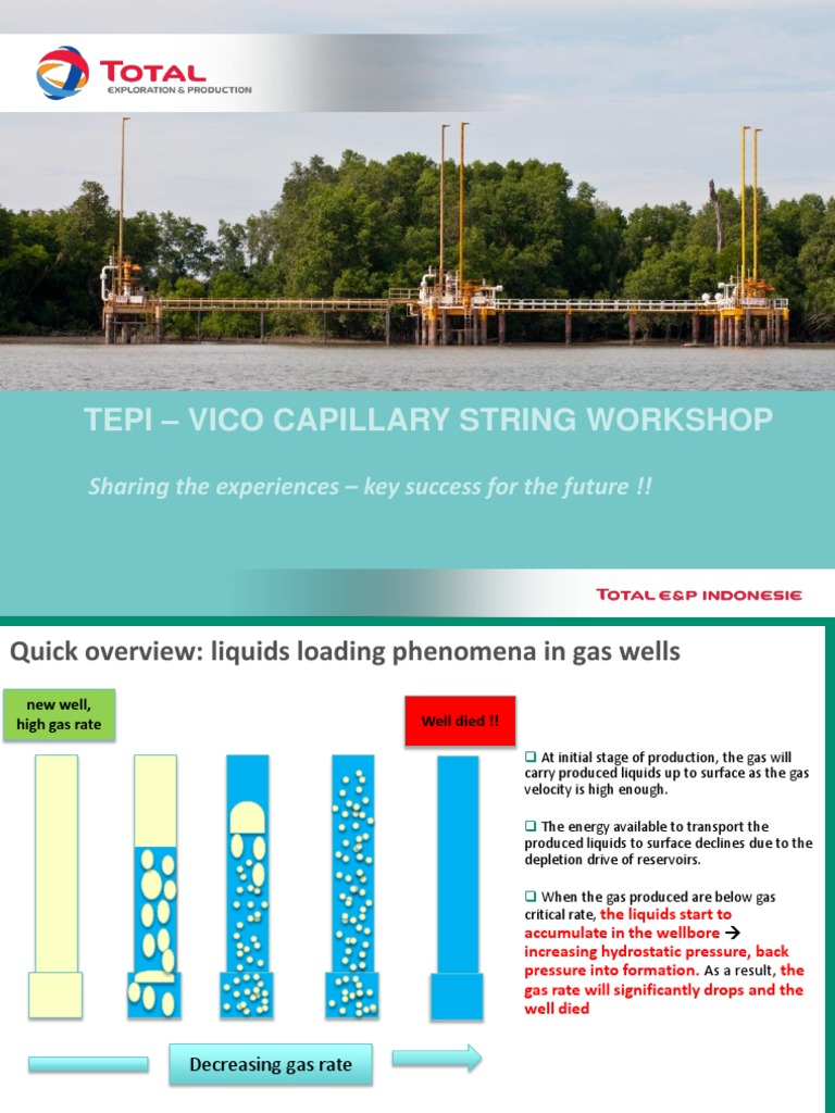 TEPI - VICO Capillary String Workshop | PDF | Petroleum Reservoir | Pump