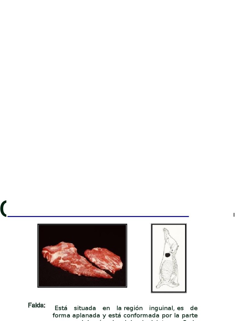 Partes Del Res | PDF | Cocina, comidas y vino