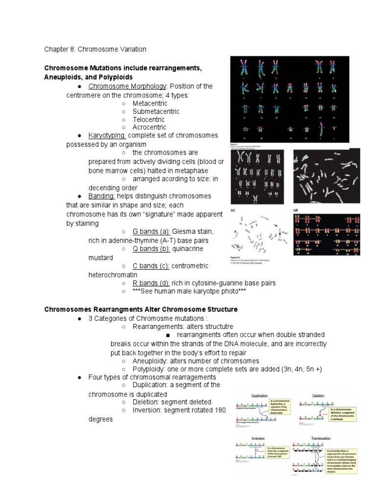 Pierce, Genetics: A Conceptual Approach, 5e: Chapter 8 Notes | PDF ...