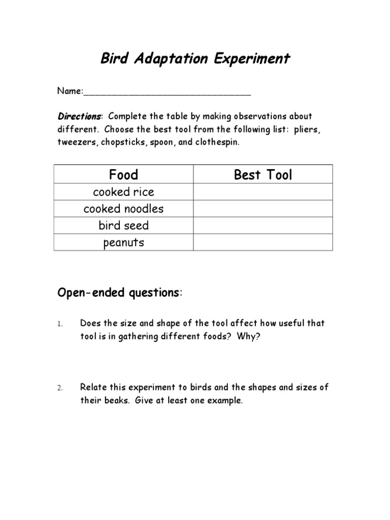 Bird Adaptation Experiment: Food Best Tool | PDF