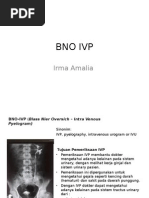 Anatomi Thorax Normal pada Rontgen | PDF