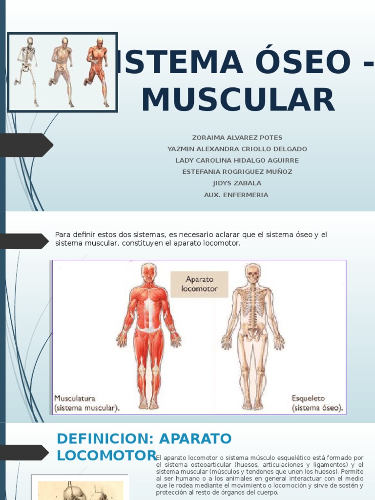 Presentacion Aparato Locomotor (Sistema Oseo y Muscular9 | Articulación ...
