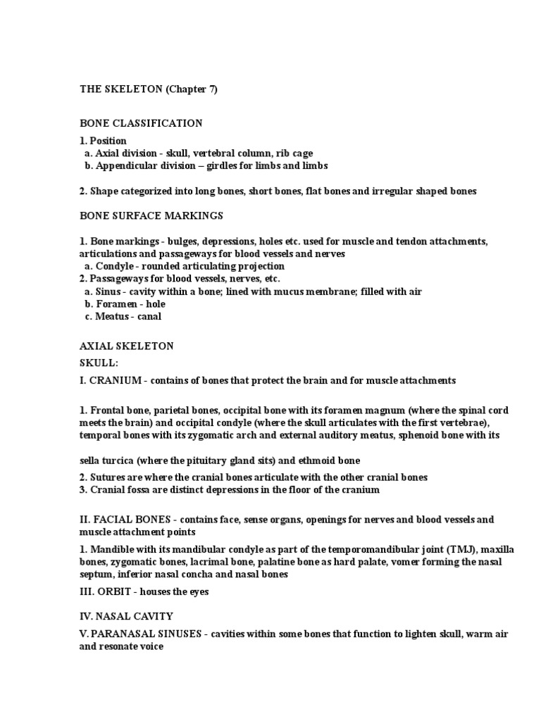 Anatomy of the Human Skeleton | PDF | Skull | Vertebral Column