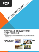 Basic Needs of Living Things Worksheet | PDF