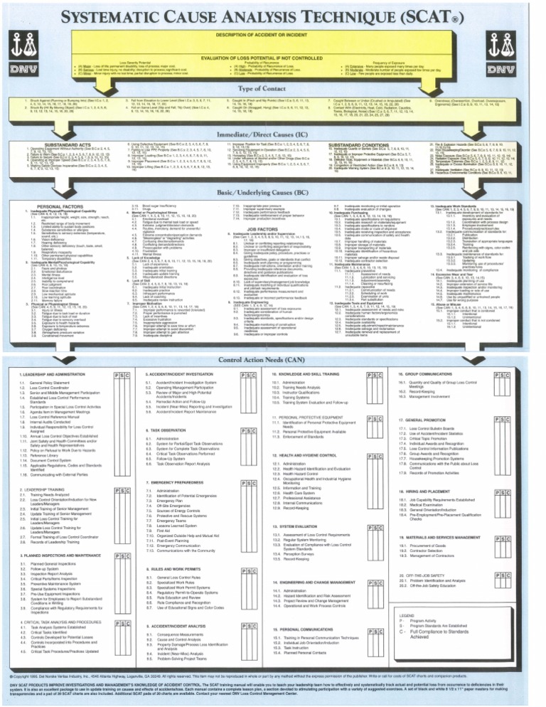 Scat Investigation Template | PDF