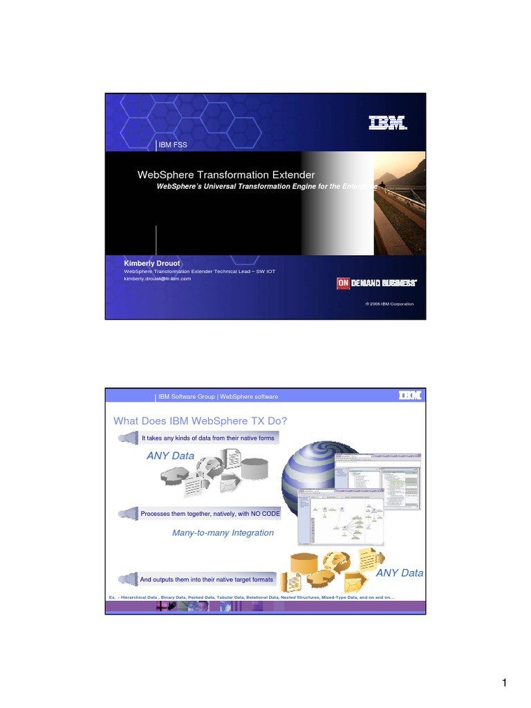 IBM WebSphere Transformation Extender Overview | PDF