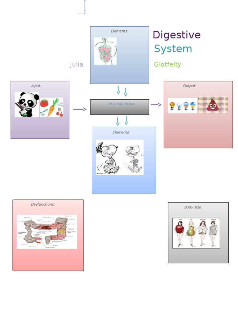 Digestive System Overview | PDF | Wellness