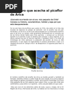 Instrumentos Musicales Aymaras | PDF | Arte | Historia