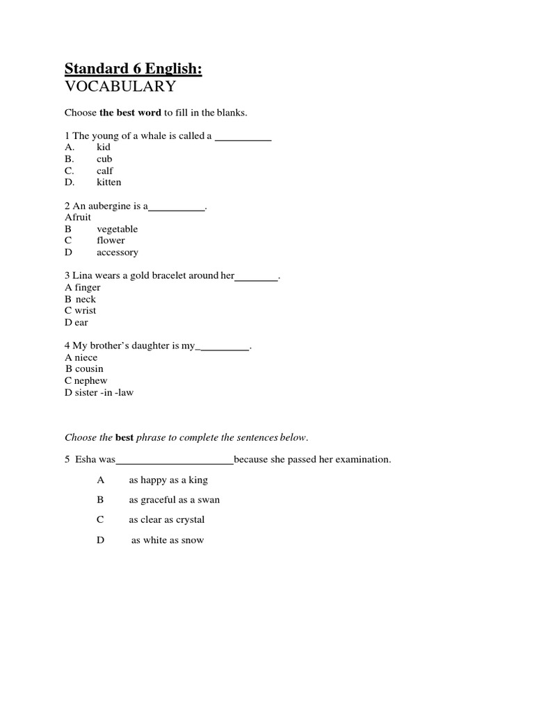Standard 6 English Vocabulary Assessment: Choosing the Best Word or ...