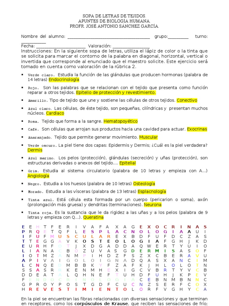 Sopa de Letras de Tejidos | PDF | Piel | Anatomía